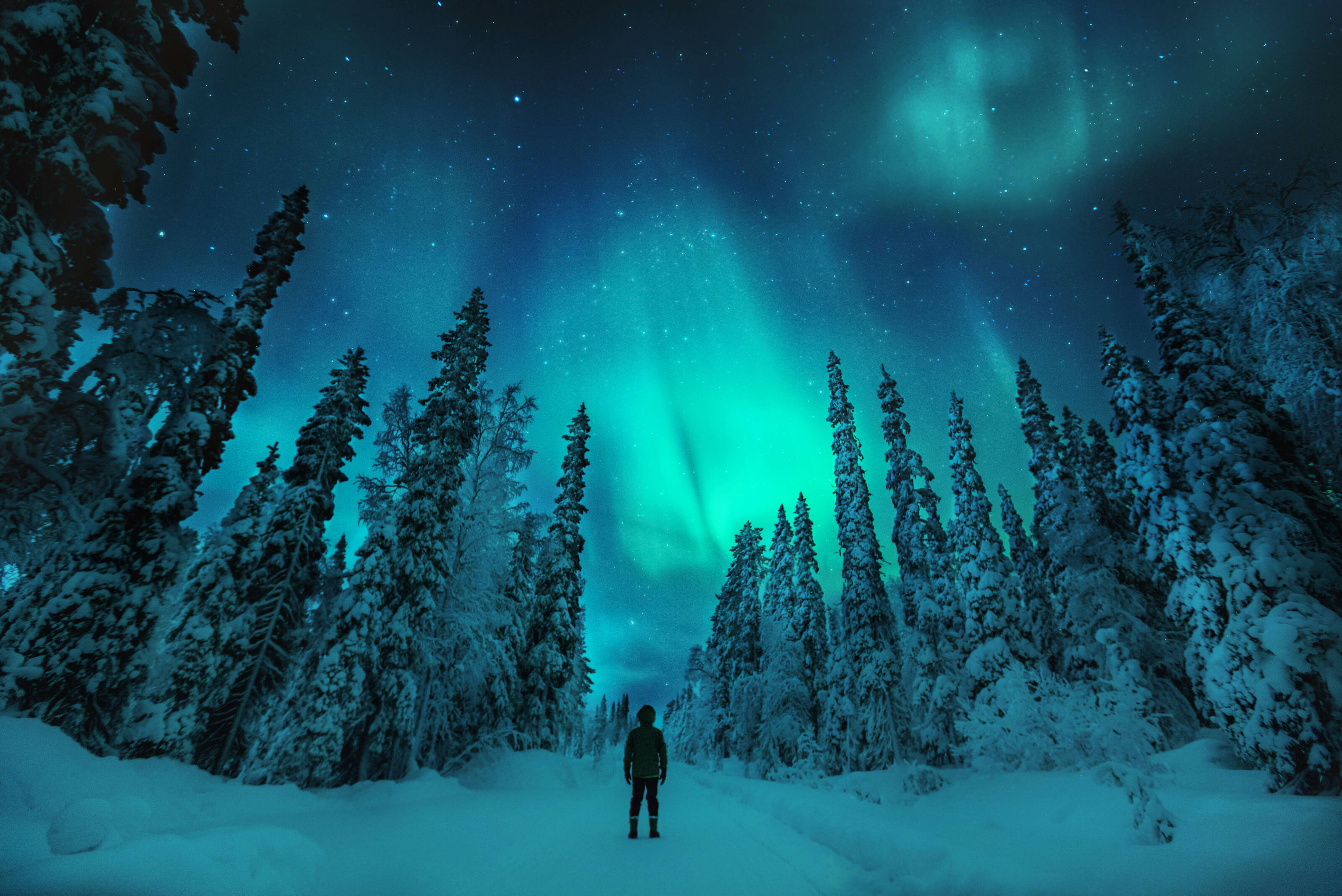 10 Choses à Faire En Finlande Visit Finland